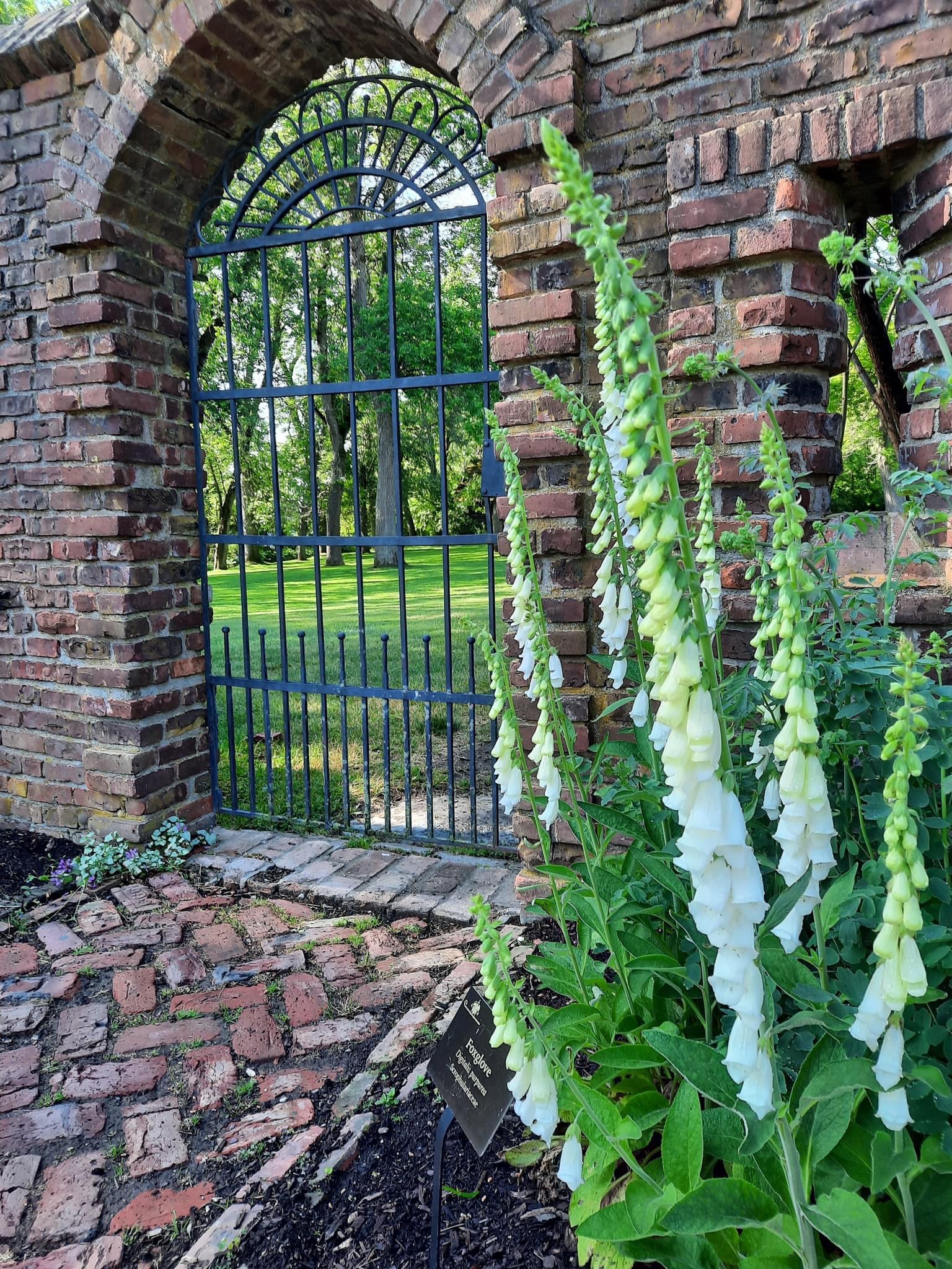 About The TAG Method | The TAG Method